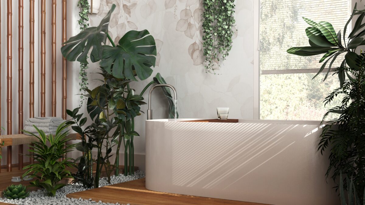 Explorando o Design Biofílico na Arquitetura Sustentável